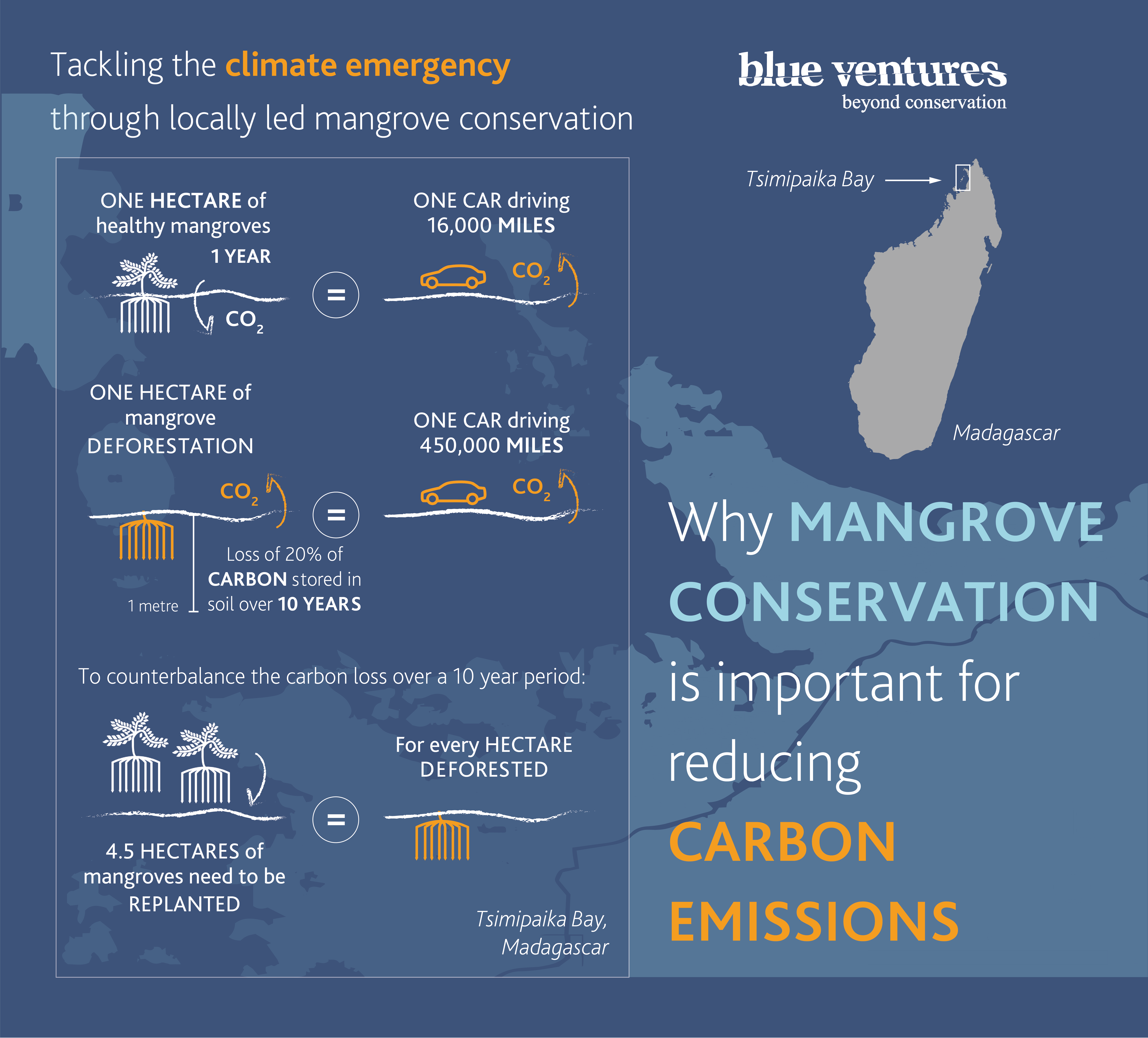 New research: Tackling the climate emergency through locally led ...
