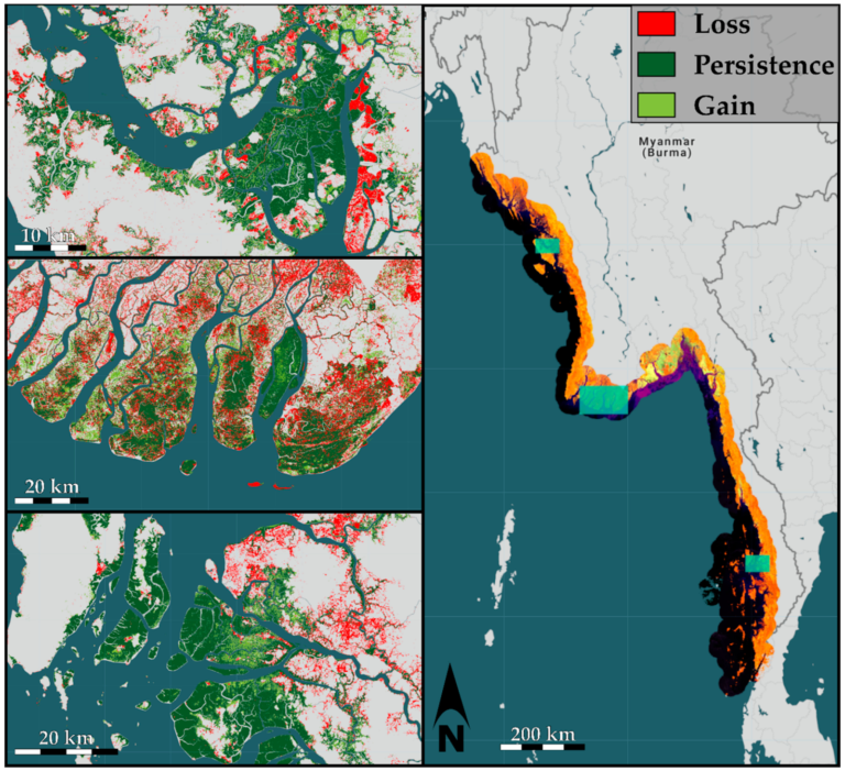 New research: A new tool for mapping and monitoring mangroves | Blue ...