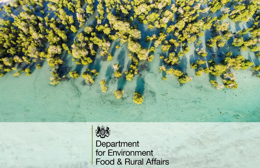 Defra: Protect mangroves and help tackle climate change - Blue Ventures