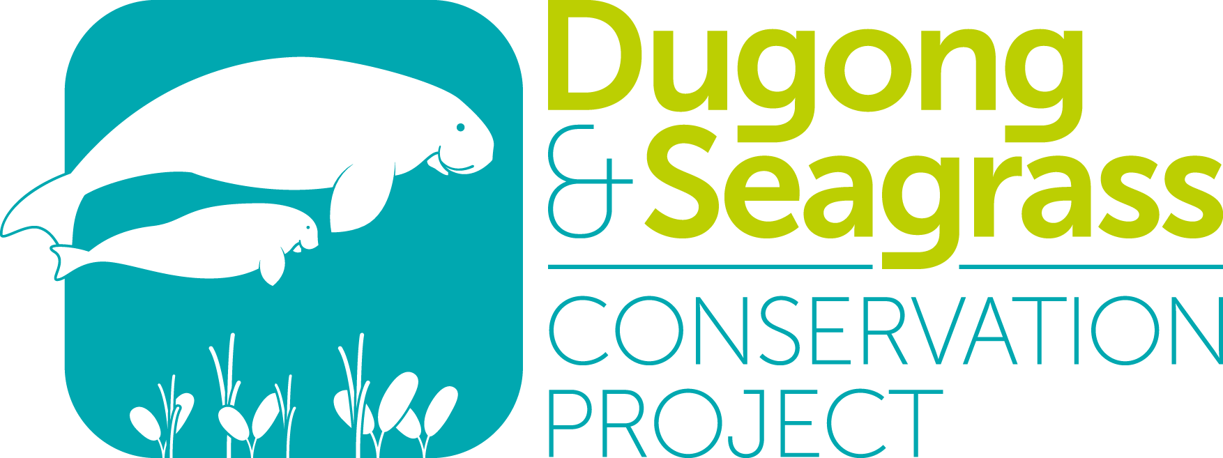 Dugong & Seagrass Conservation Project - Blue Ventures