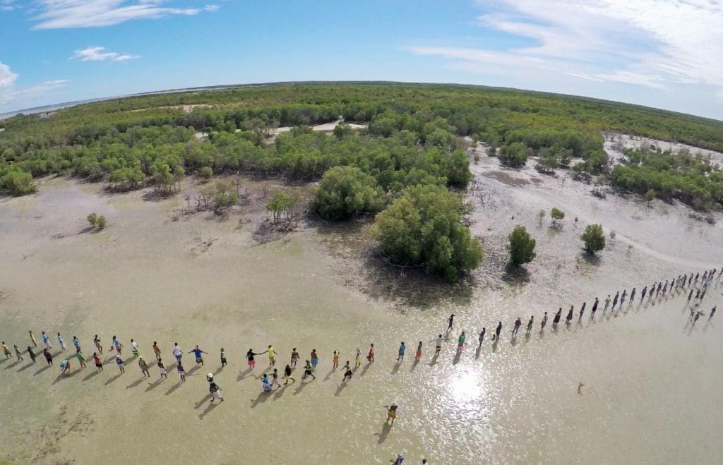 Toko telo rewind: What does best practice in community-led mangrove ...