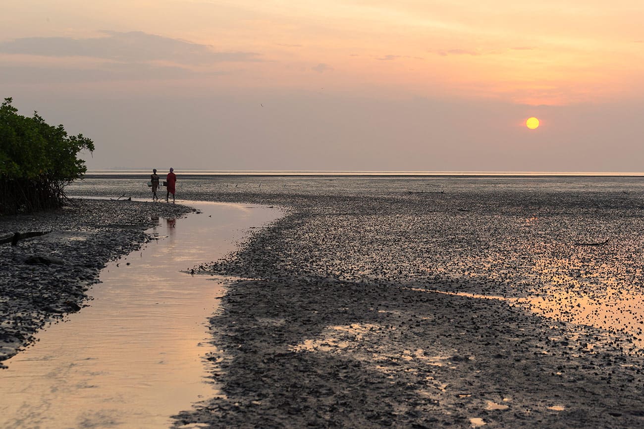The State of the World's Mangroves 2024 - Blue Ventures