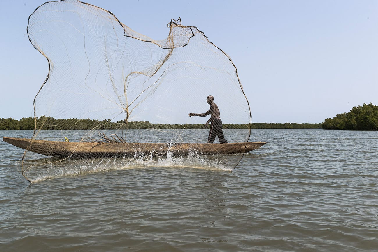 Blue Ventures - Beyond Conservation