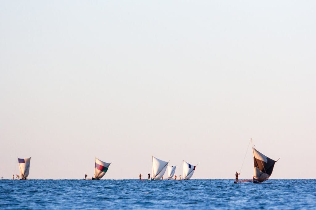 Blue Ventures appoints new leadership to expand conservation efforts in ...