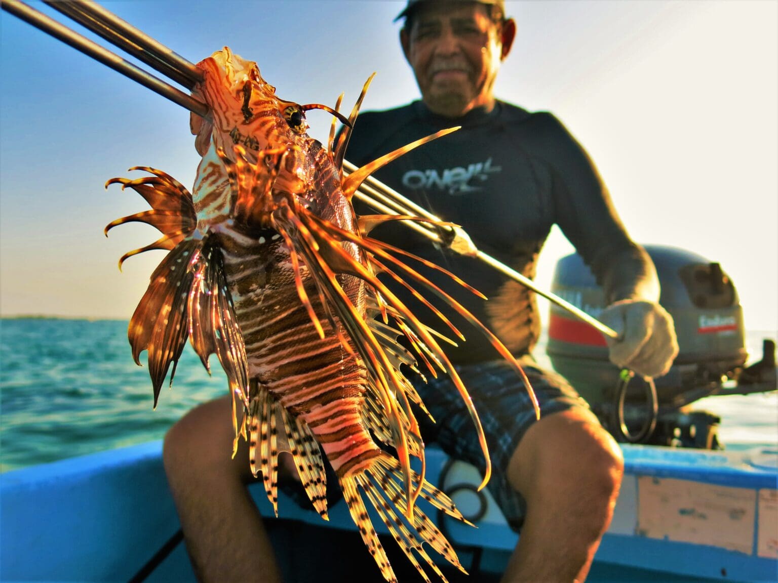 Blue Ventures - Beyond Conservation