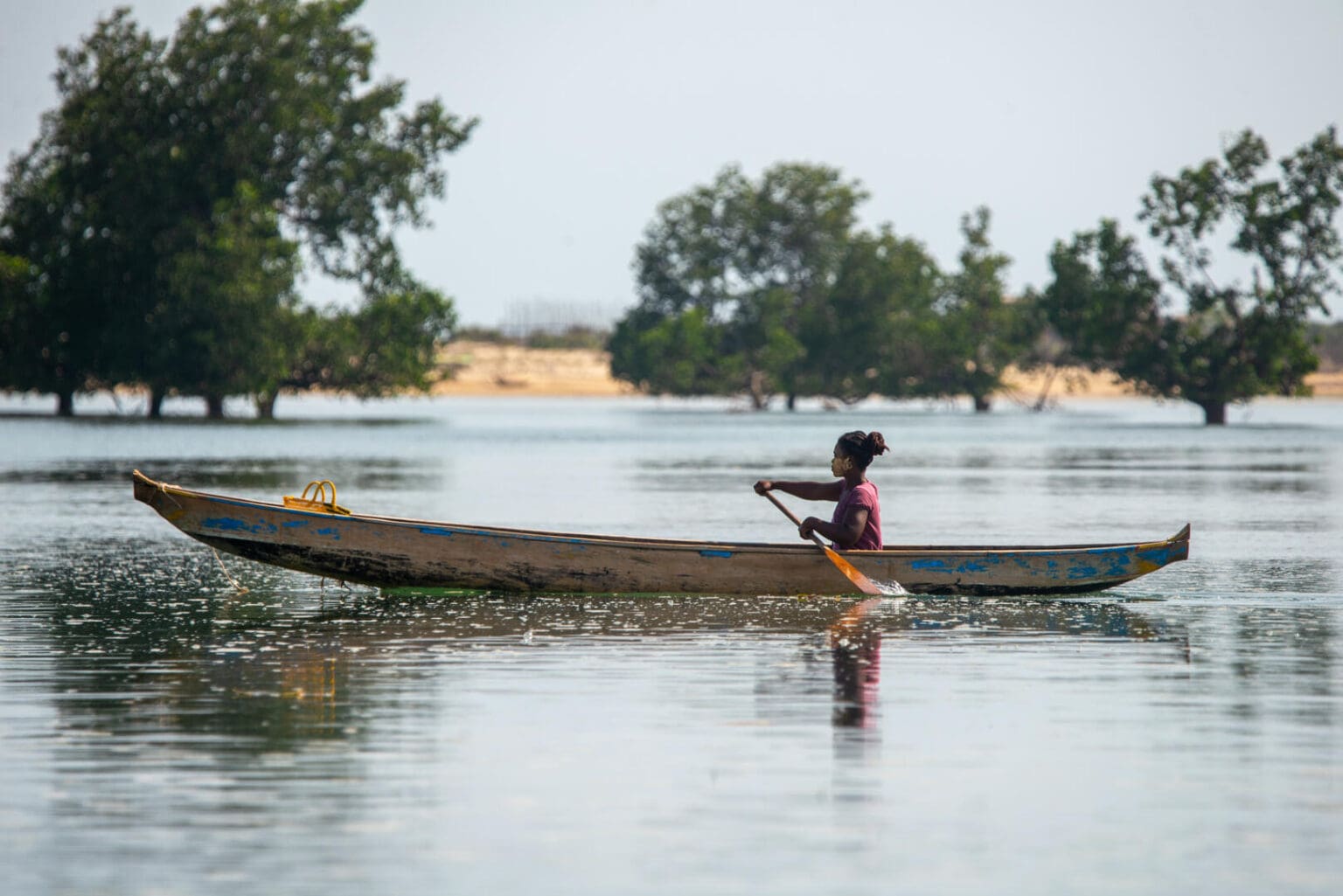 Blue Ventures - Beyond Conservation