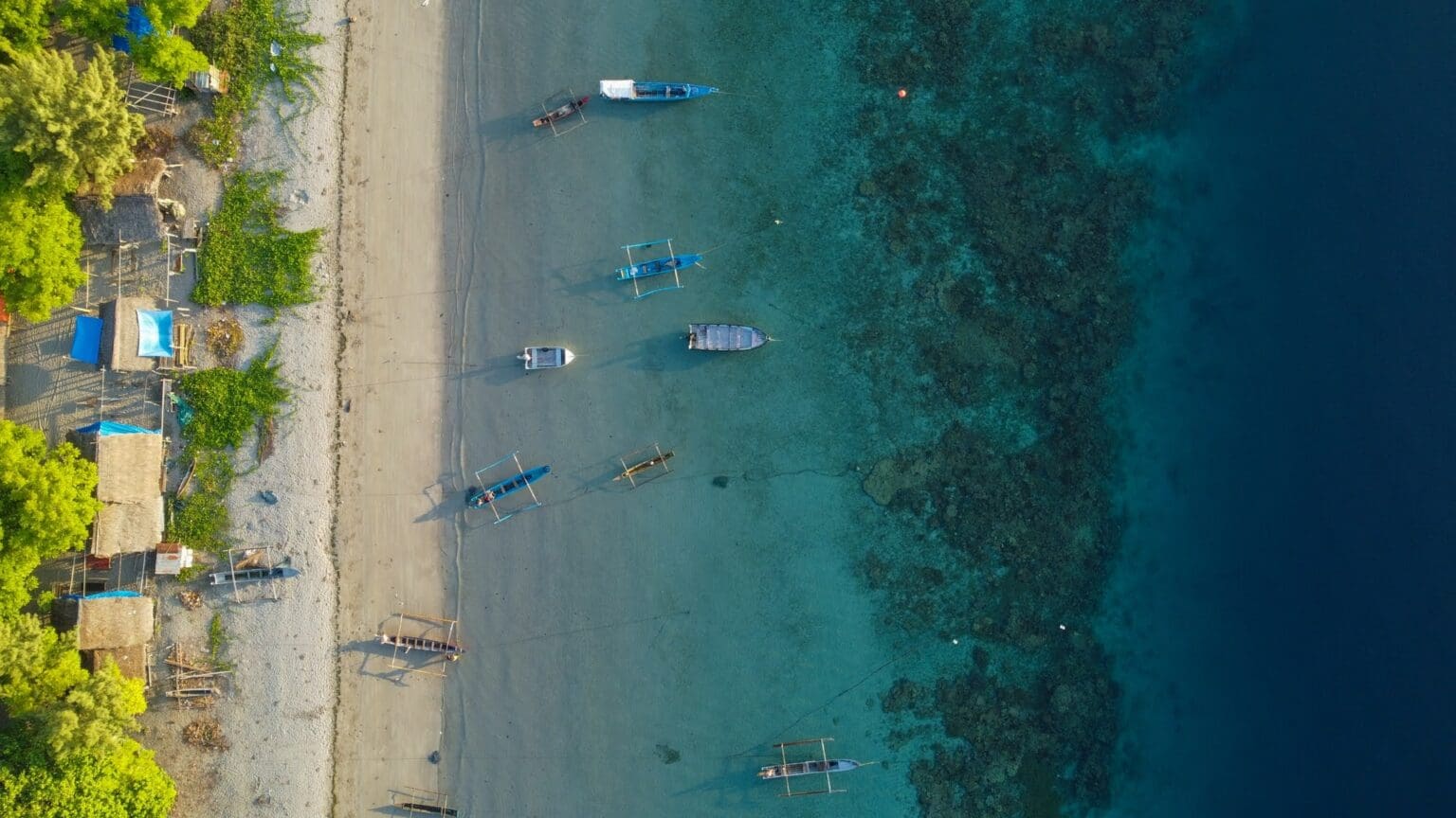 Blue Ventures - Beyond Conservation