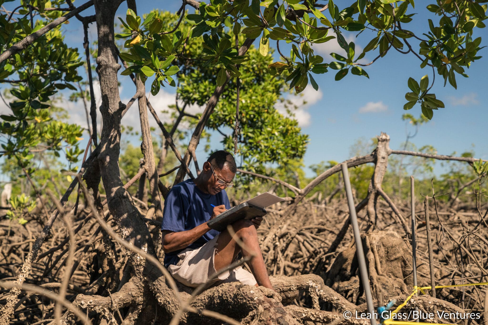 Blue Ventures - Beyond Conservation