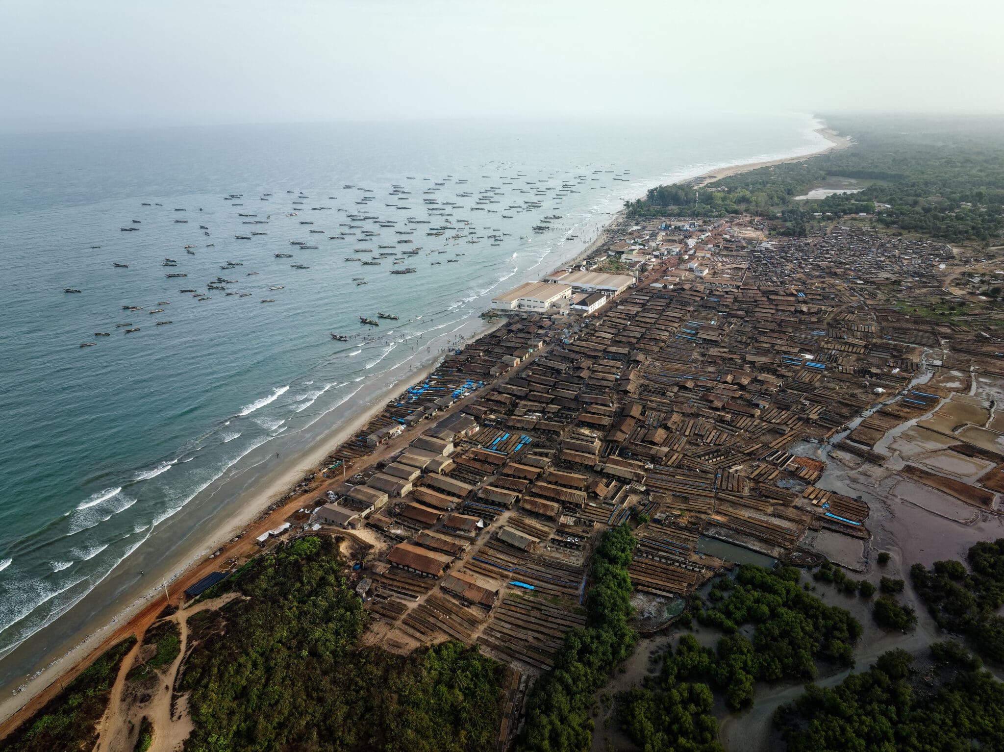 Learning from successful MPAs in Senegal to pave the way for Congo's ...